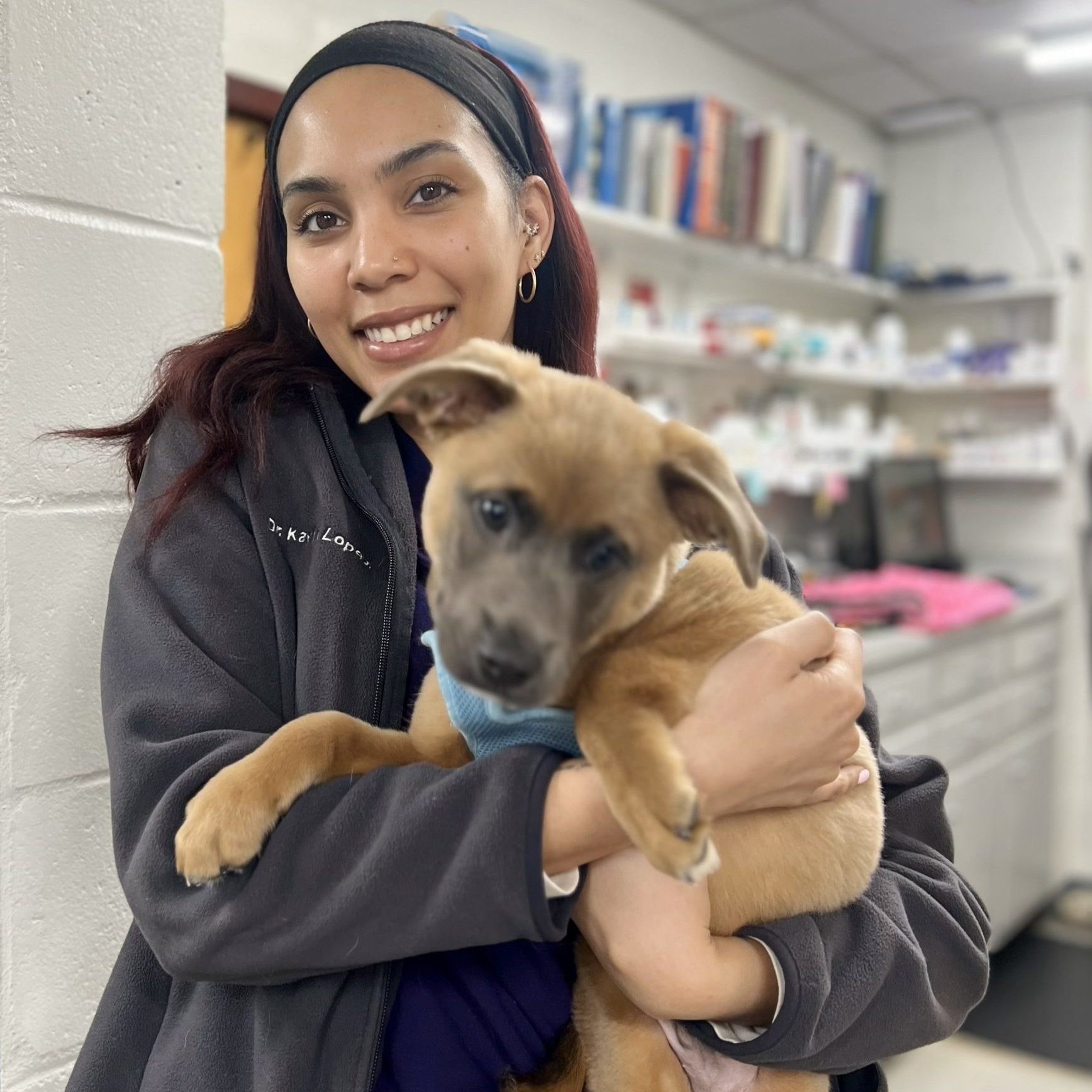 Our Veterinary Care Team | Noah's Ark Veterinary Practice